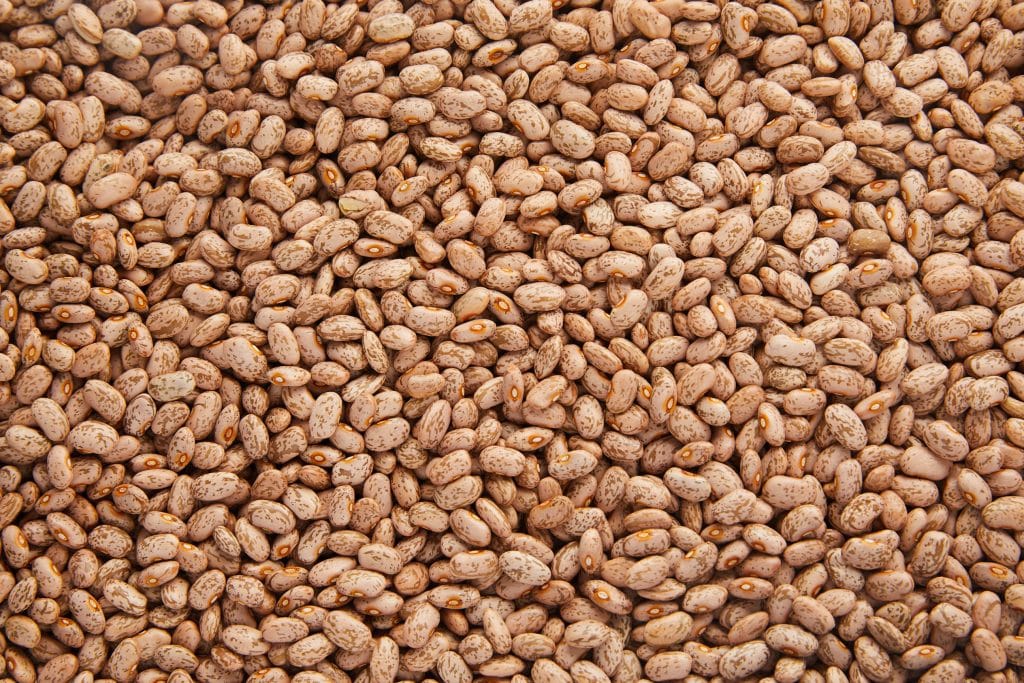 Bean Varieties - Michigan Beans