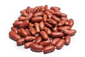 Michigan Bean Commission – Michigan Bean Commission