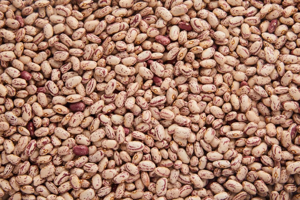 Bean Varieties - Michigan Beans