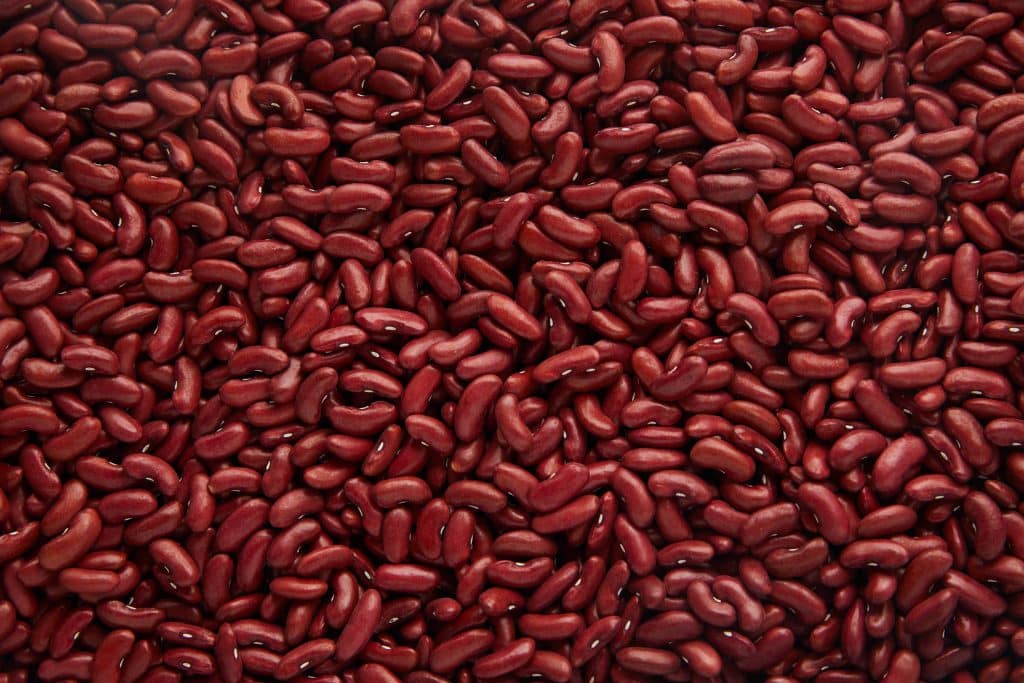 Bean Varieties - Michigan Beans