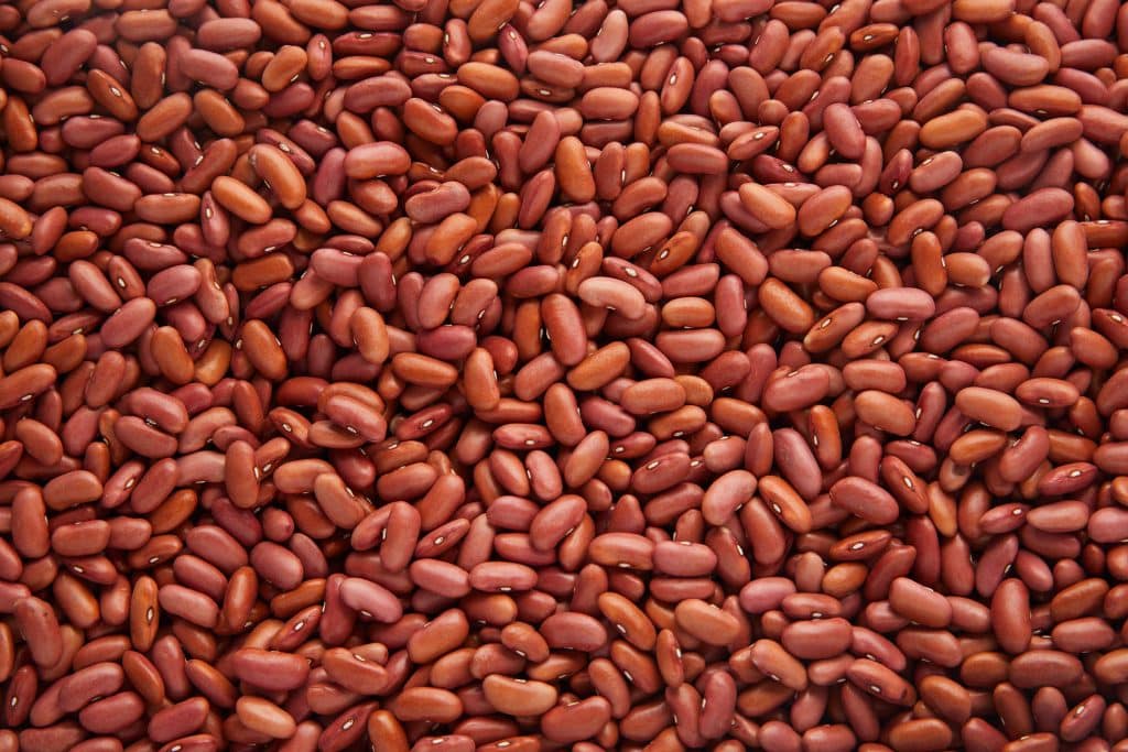 Bean Varieties - Michigan Beans