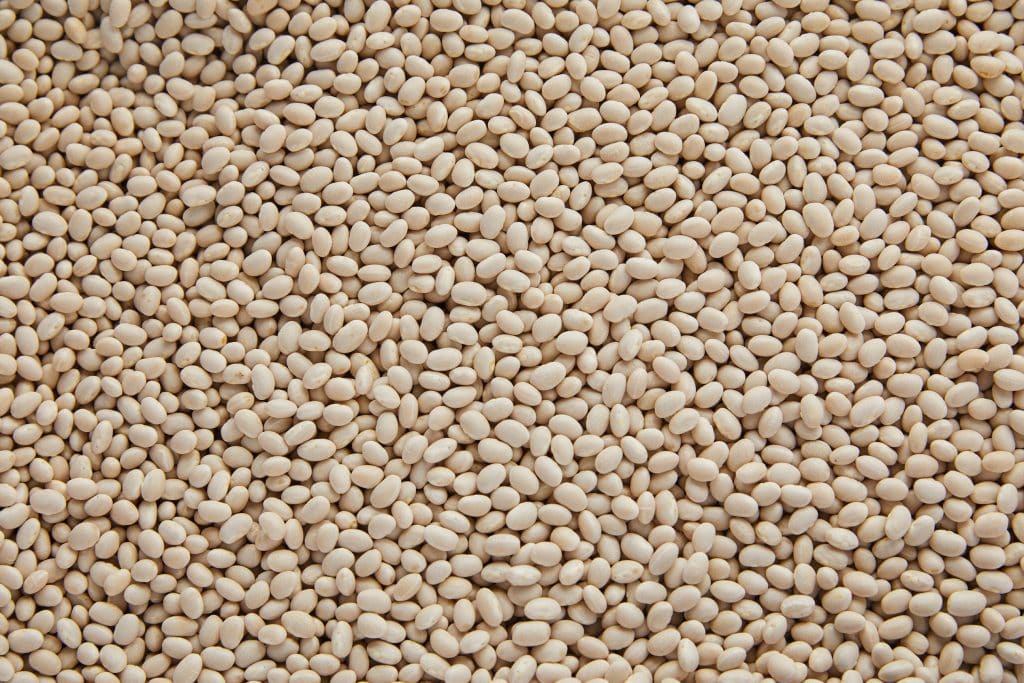 Bean Varieties - Michigan Beans