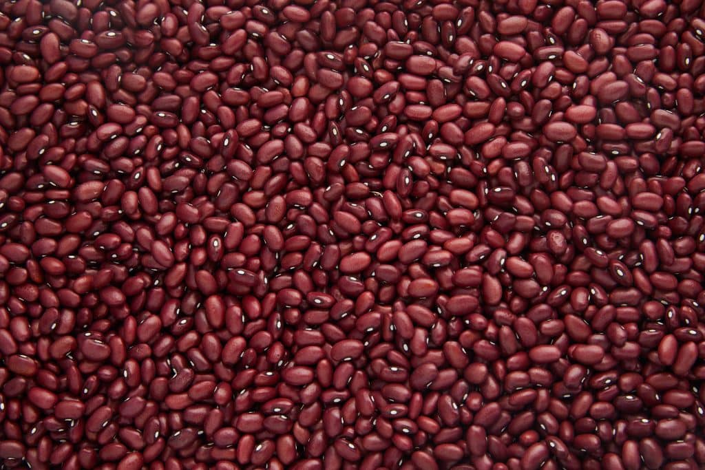 Bean Varieties - Michigan Beans