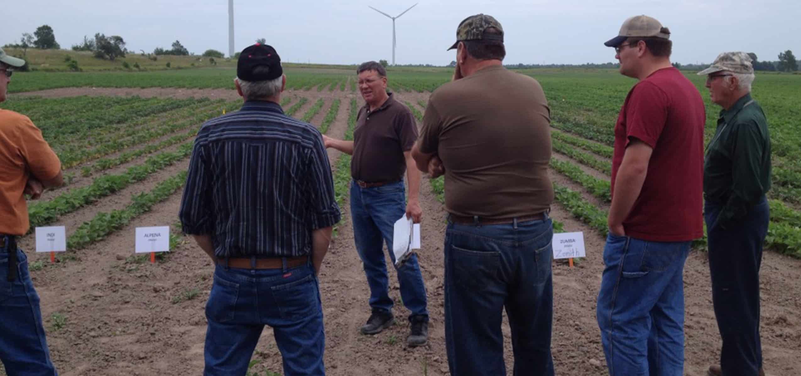 2018 Michigan Dry Bean research report - Michigan Beans