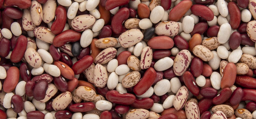 Health Professional Resources - Michigan Beans