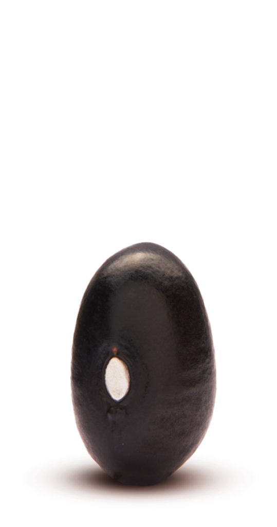 Michigan Black Beans - Michigan Beans