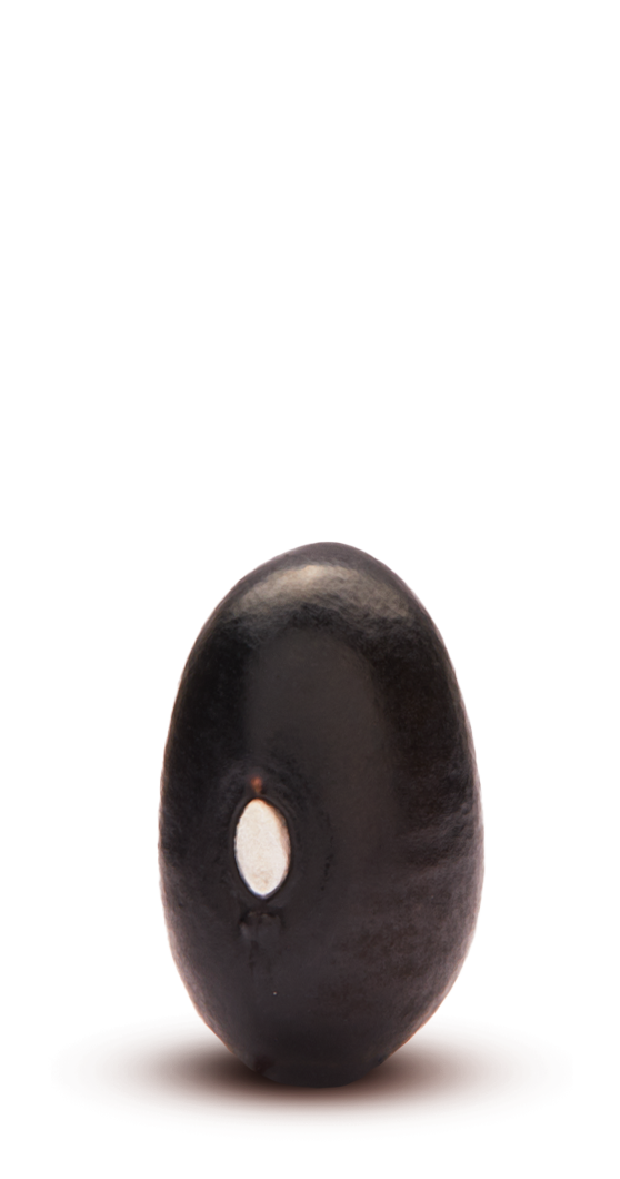 Michigan Black Beans - Michigan Beans
