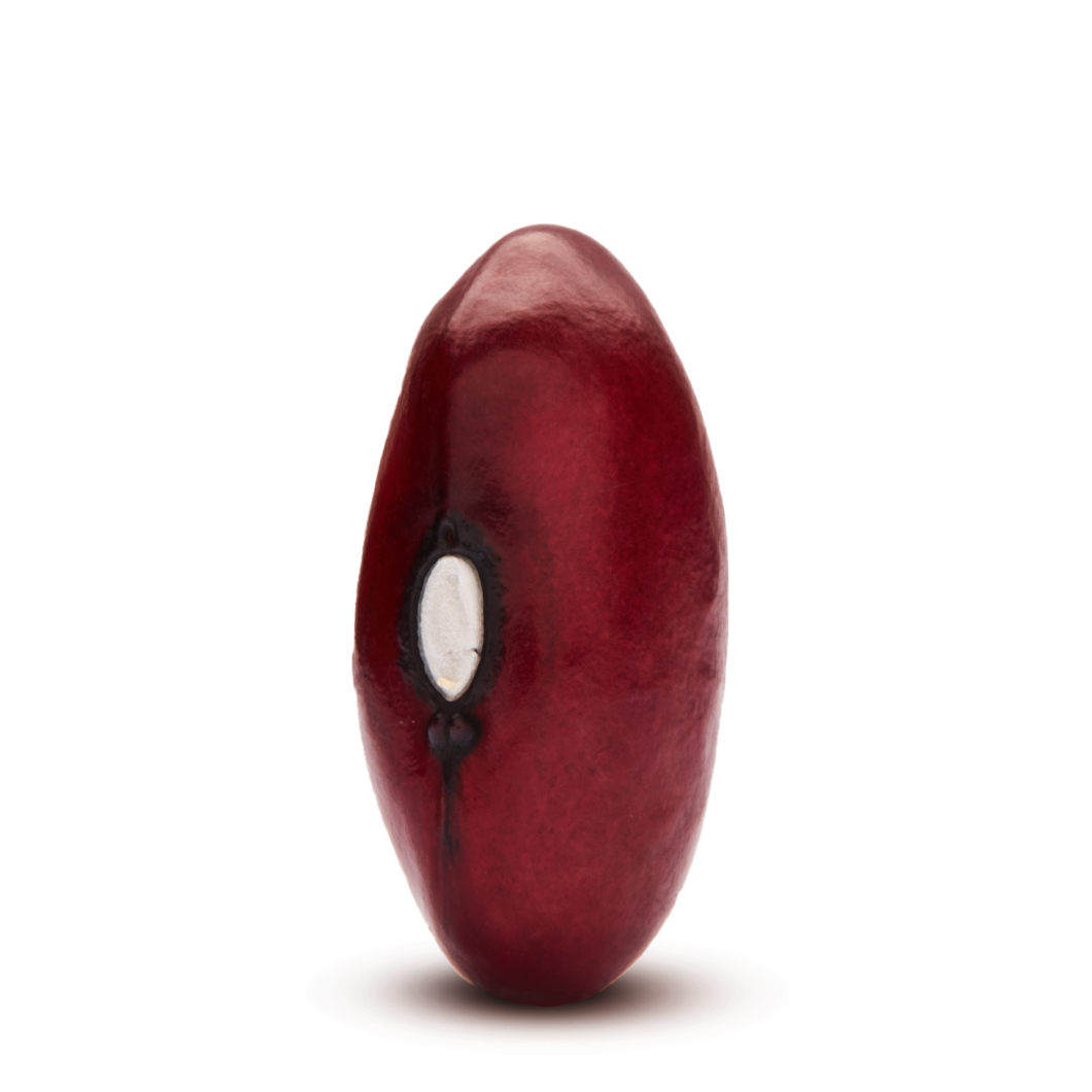 Michigan Small Red Beans - Michigan Beans